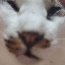 Jongho Baek Jongho Baek Github