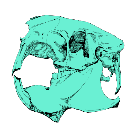 Jean Cohen Jean Cohen Github