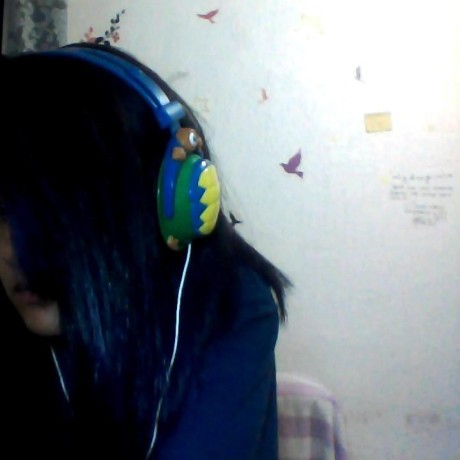 Carrilholuz Ctrl Github