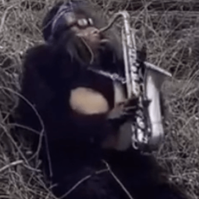 Dan Marco Dan Marcovecchio Github