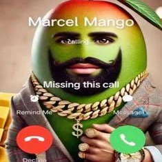 67 Mango Projects Github