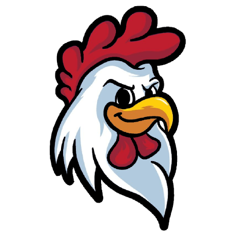 Chicken Network Mc Github