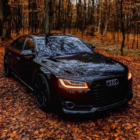 Marykaris721 Sudo Github