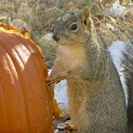 Krislarson Kris Larson Github - Professional HD Geometric Photos | Free Download