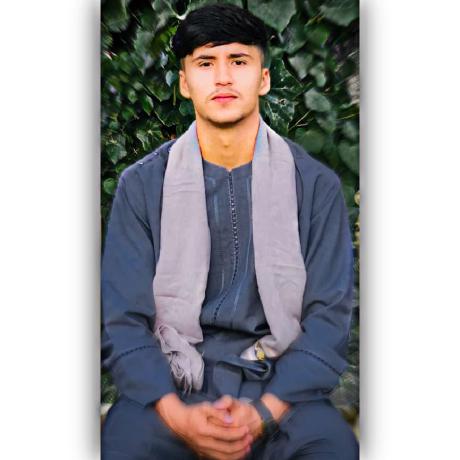 Salih Sultani Projects Github