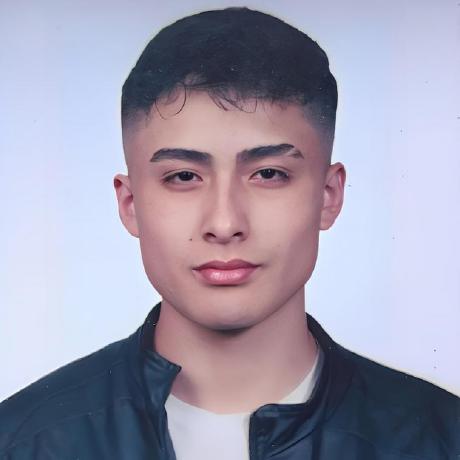 Burgossystems Edwin Burgos Github