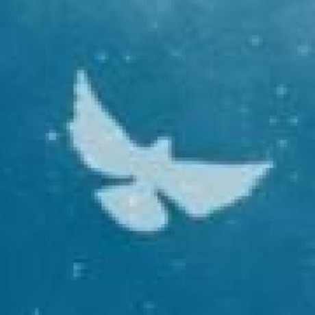 Calio Jiale Zhi Github