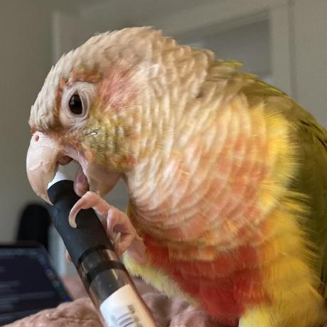 Mawalters Mars Walters Github