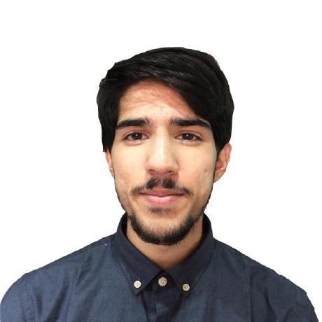 Amirmhp Amir M Hoseini Github
