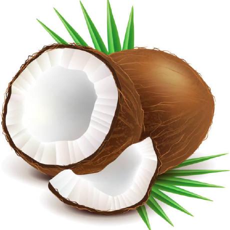 Coconut Reactor Github