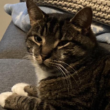 Trym66 Trym Github - Geometric Textures - Professional Full HD Collection