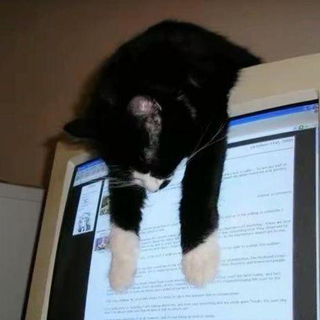 Mikfletcher Fletcher Github