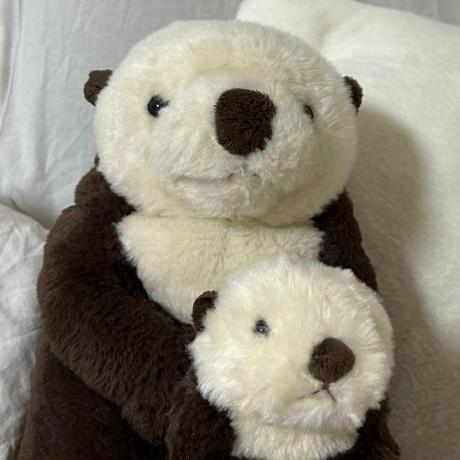 The Dual Otters Github