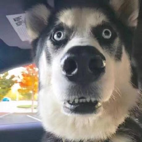 Fanmingl Fanming Luo Github