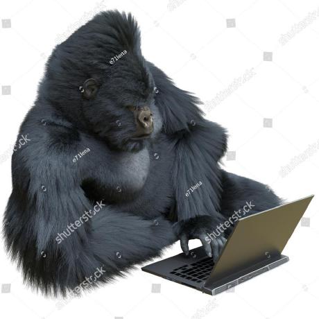 Unblocked Monkeys Github