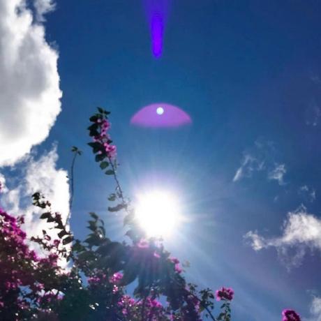 Vynhyvn Collab Vy Github