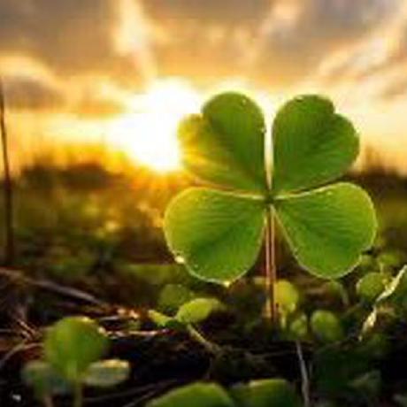 Daniel0520dy Cell Github