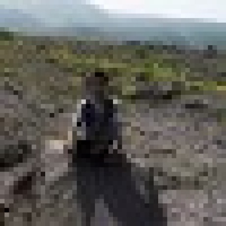 Nirsinggih Nir Singgih Github