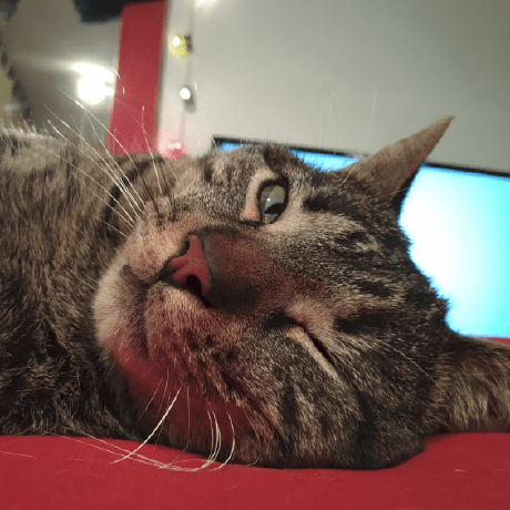 Elisa A V Elisa Github