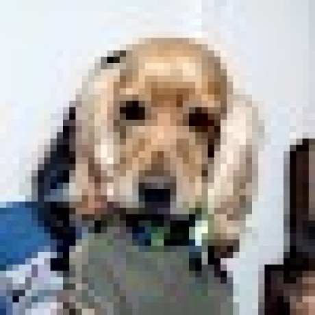 Rbe92925 Hash Github