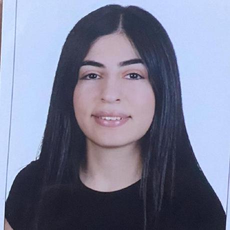 Berensahbaz Beren Github