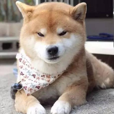 Kaiserus Kaiser Github