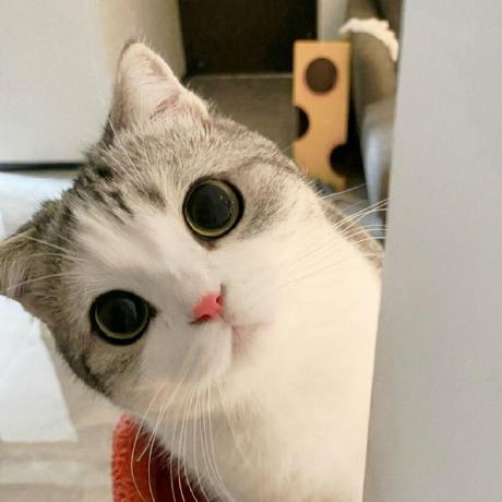 Happygu0524 Happygu Github