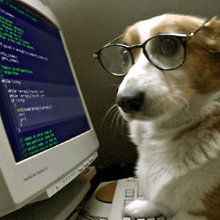 Khalilkorbidev Khalil Github