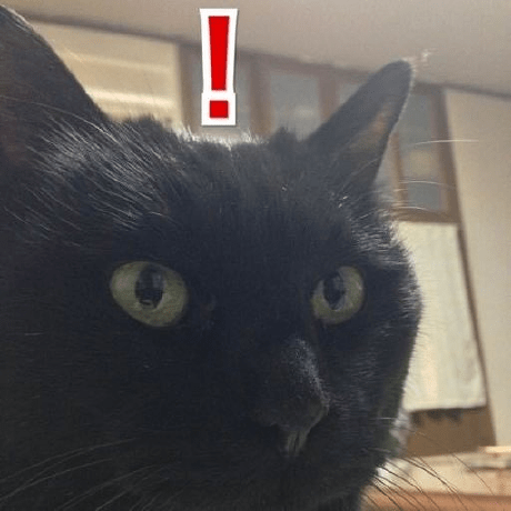 Yuri Takase Github - Mountain Textures - Perfect Mobile Collection