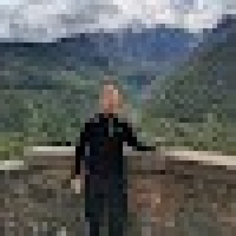 Vstratula Vlad Github