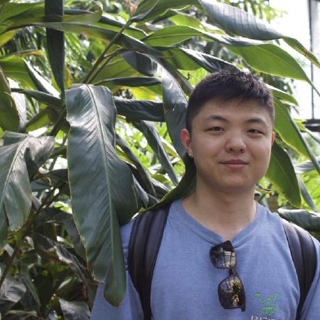 Github Zhiwen10 Widefieldspirals Python Version - Best Minimal Arts in HD