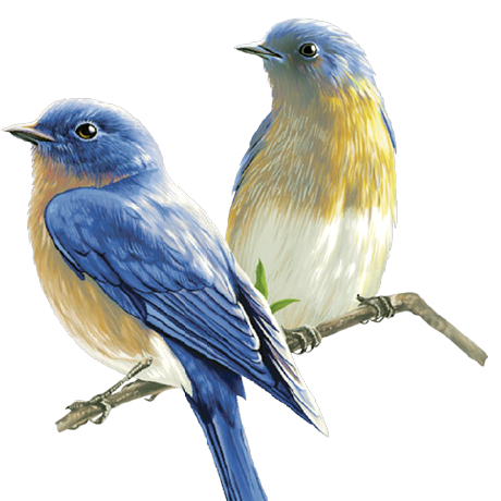 Pvy70770 Hash Github