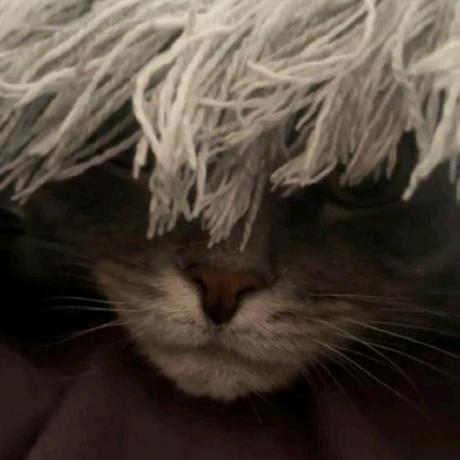 Smd Asper Asper Github