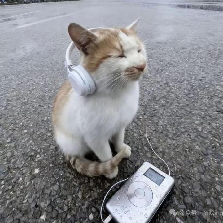 Creeper Creeper Github