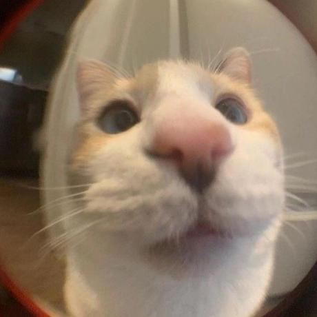 Zenin Oleg зенин олег анатольевич Github