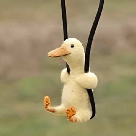 Dothanhdat1162005 Hub дђб Thг Nh дђбєўt в Github