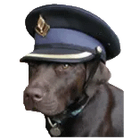 That Edward Edward Github