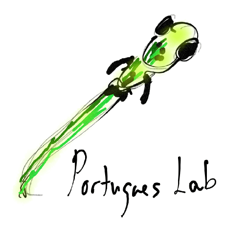 Github Portugueslab Sashimi Lightsheet Control - Classic HD Minimal Arts | Free Download