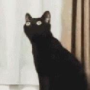 Darkskygit Darksky Github