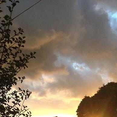 Scotteh Andrew Scott Github