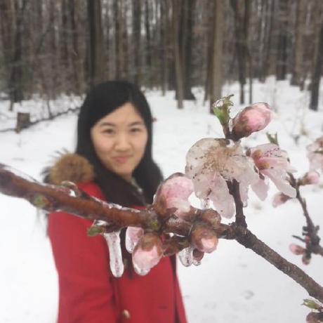 Xmeng525 Xiaoxu Meng Github