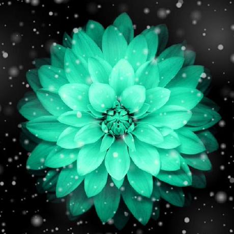 Miracle Possible Github