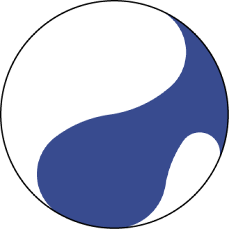 Junior Wang Wangpeng Github