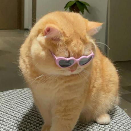 Katherinehhh Katherine Github