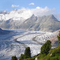 Bdglacier Glacier Github