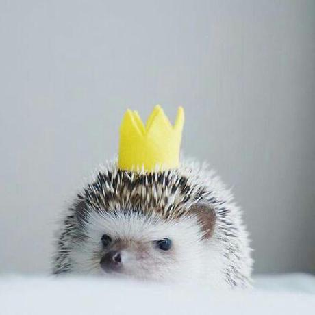 Bsuir Railways Github