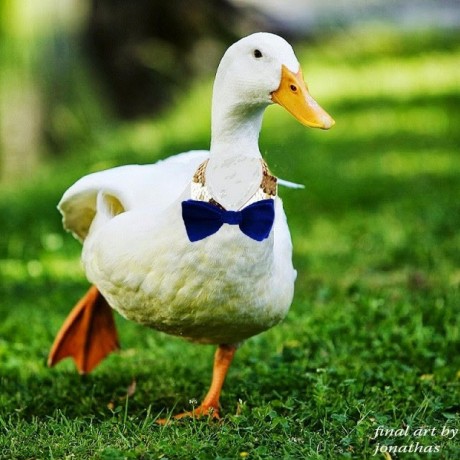 Github Ceifa Steamworks Js Microtransaction Example An Example - Modern City Texture - Desktop