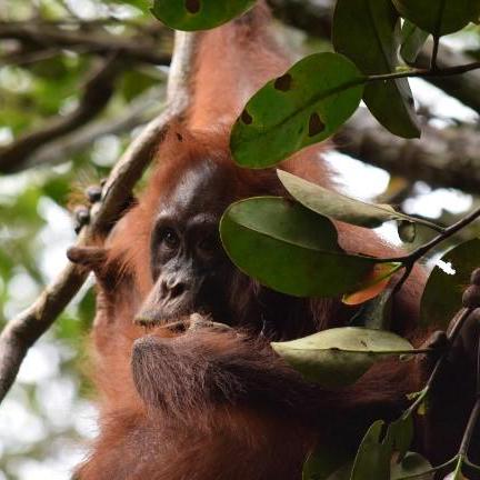 Andreabl28 Andrea Github