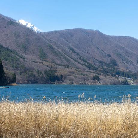 Lichen L Lichen Luo Github