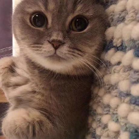 Yli188 Aaron Li Github